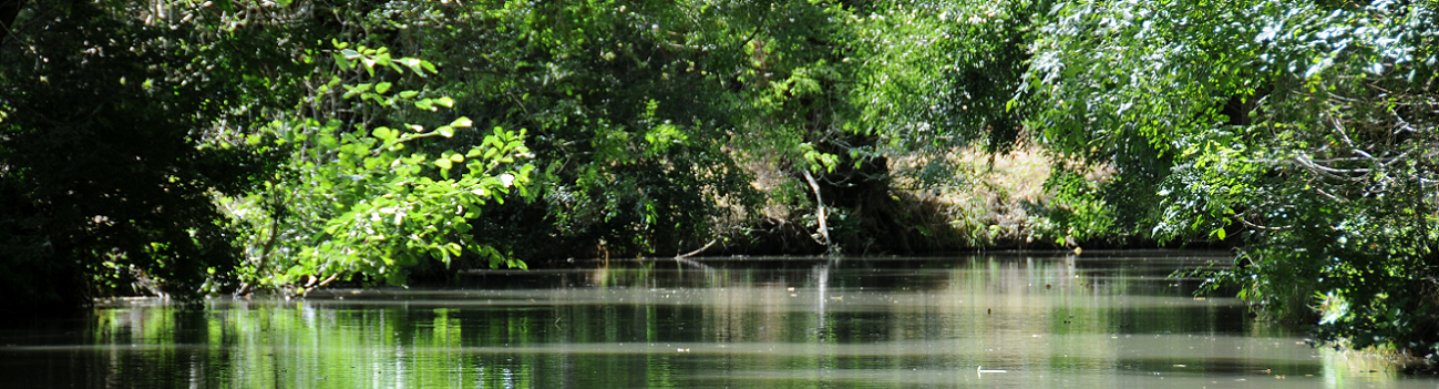 MSA - MSA Sud Champagne - MSA Sud Champagne