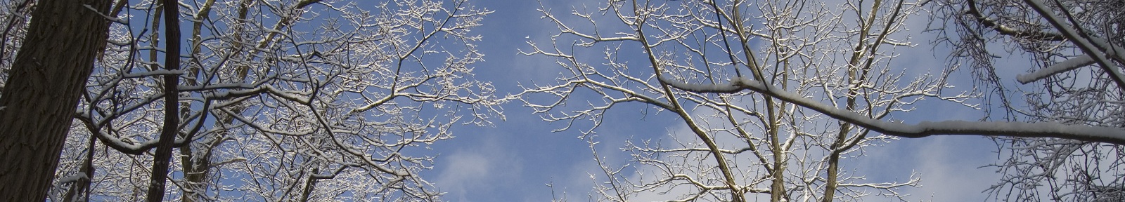 MSA - MSA Sud Champagne - MSA Sud Champagne